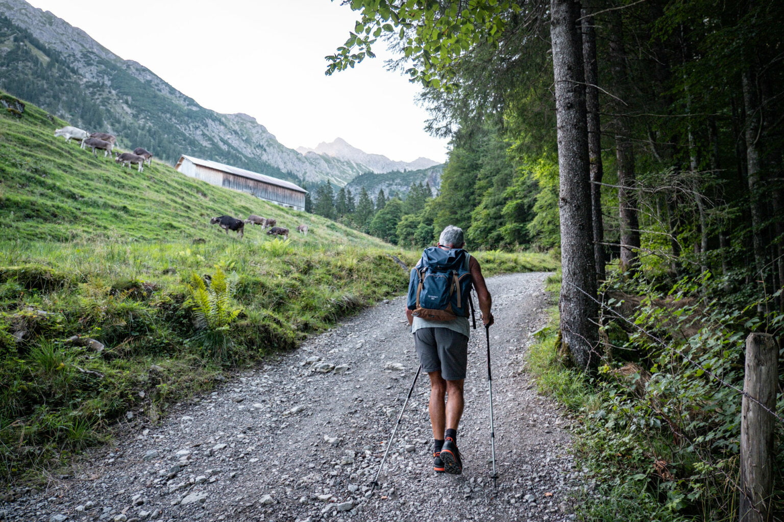 Gaisalpsee - Wanderung von Reichenbach zum beliebten Bergsee