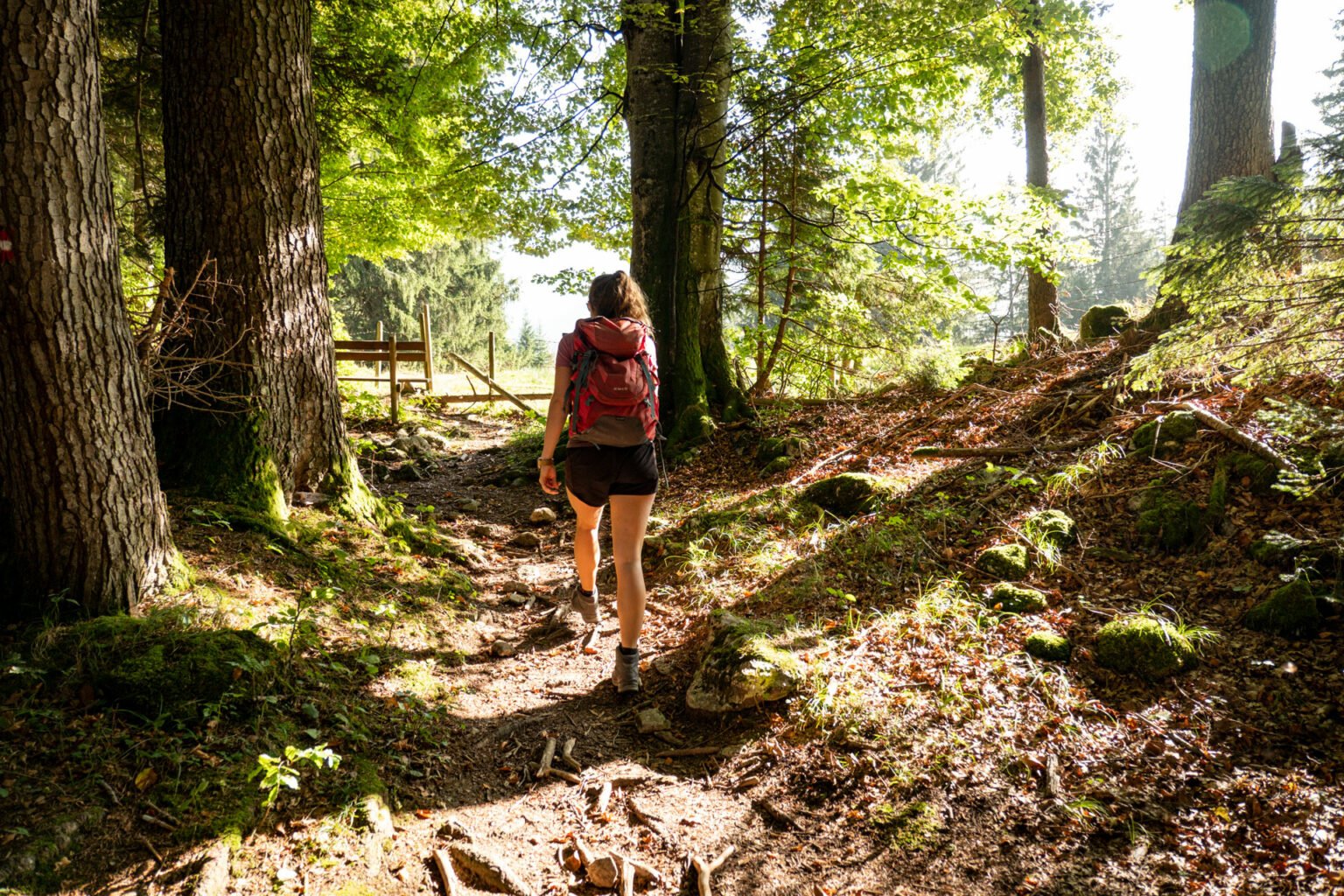 Wanderung vom Alatsee über die Salober Alm auf den Salober