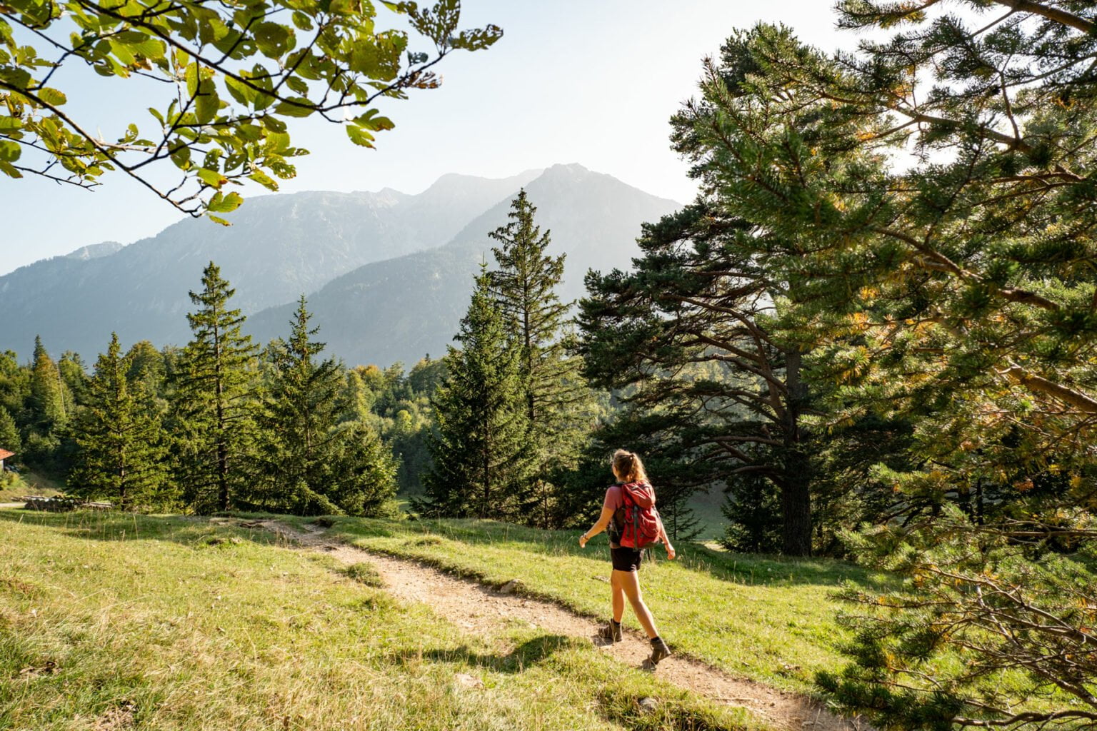 Juget-Alpe und Siedelalpe - Leichte Wanderung bei Immenstadt