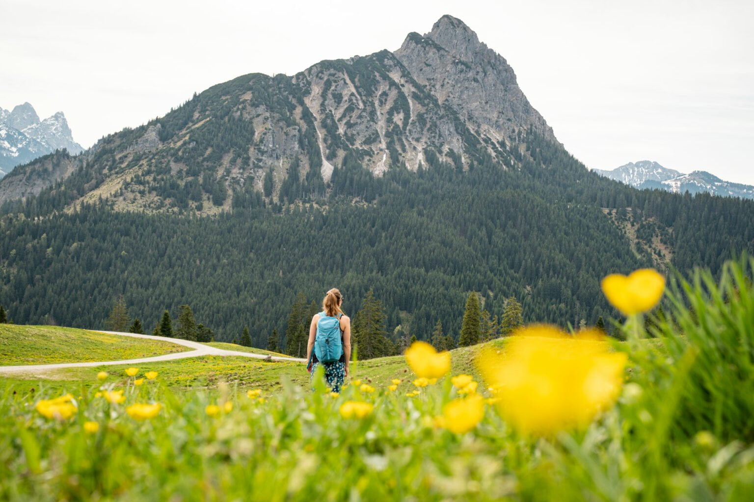 Wanderung in Hinterstein: Vom Giebelhaus zur Alpe Bärgündle