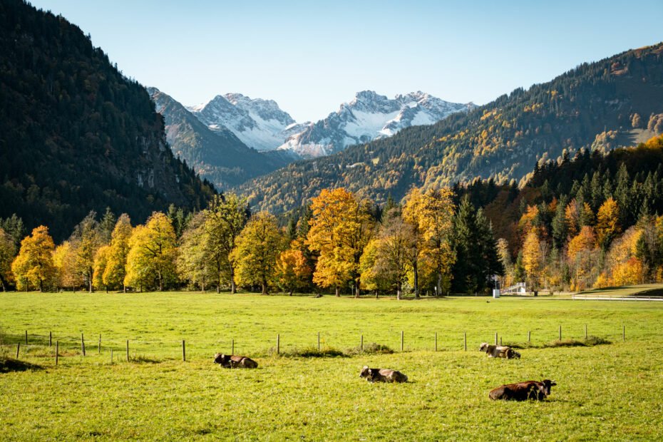 Christlessee - Leichte Wanderung von Oberstdorf ins Trettachtal
