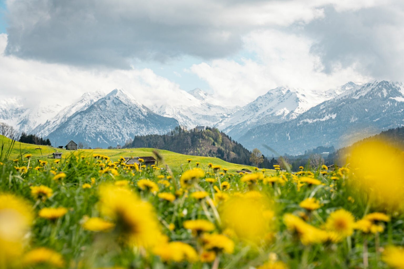 Wanderung zum Freibergsee und der Alpe Hochleite