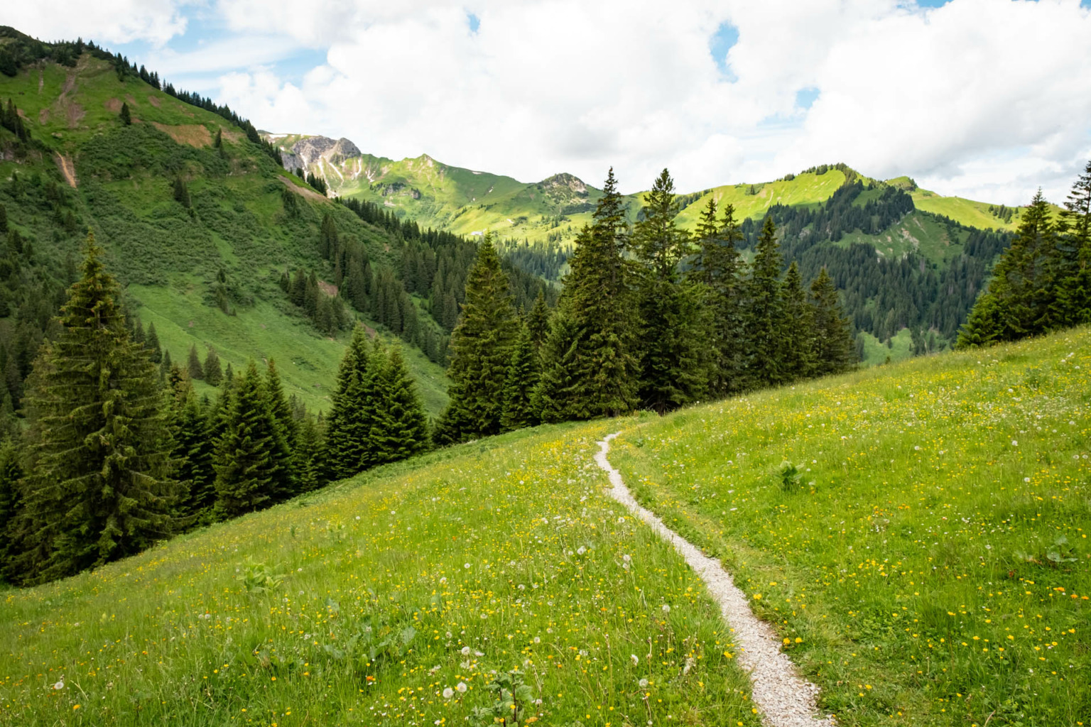 Wanderung vom Haldensee auf die Krinnenspitze
