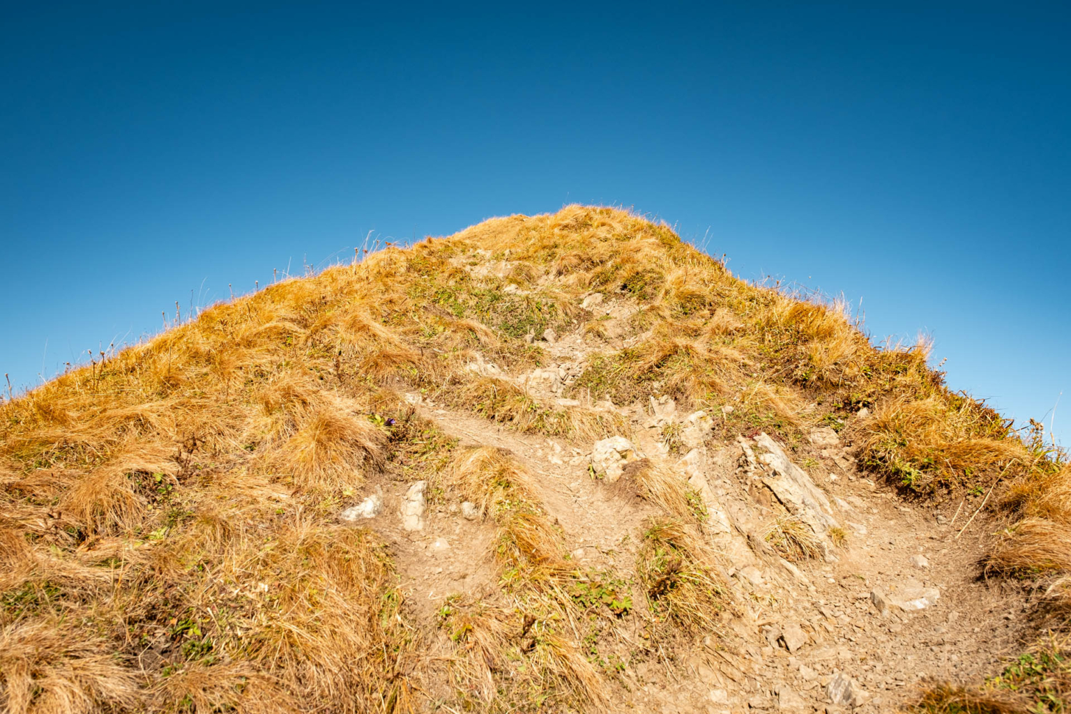 Laufbacher Eck - Wanderung auf dem Höhenweg bei Oberstdorf