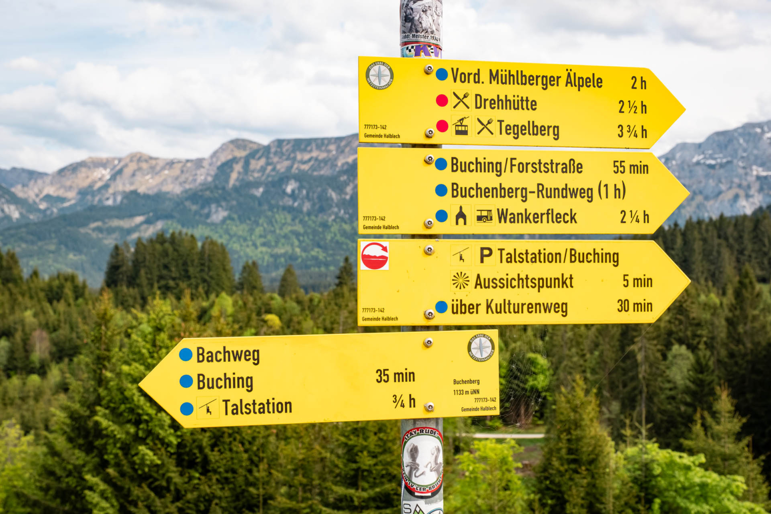 Buchenberg & Buchenbergalm - Wanderung von Buching