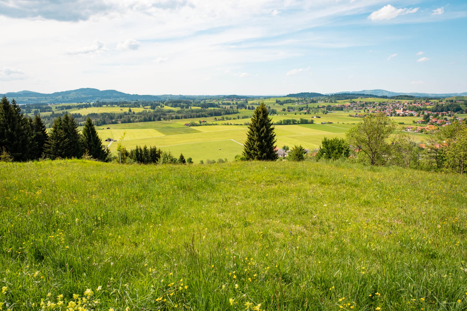 Buchenberg & Buchenbergalm - Wanderung von Buching