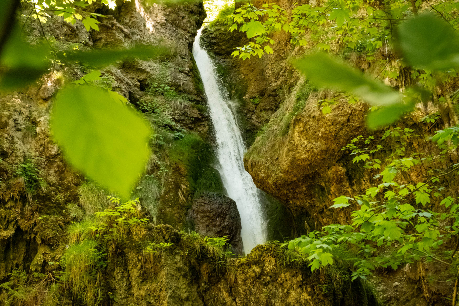 Hinanger Wasserfall - Leichte Wanderung für Familien & Einsteiger